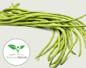 Magic of Nature – Magic of Nature – Anzuchtsets und Pflanzensamen